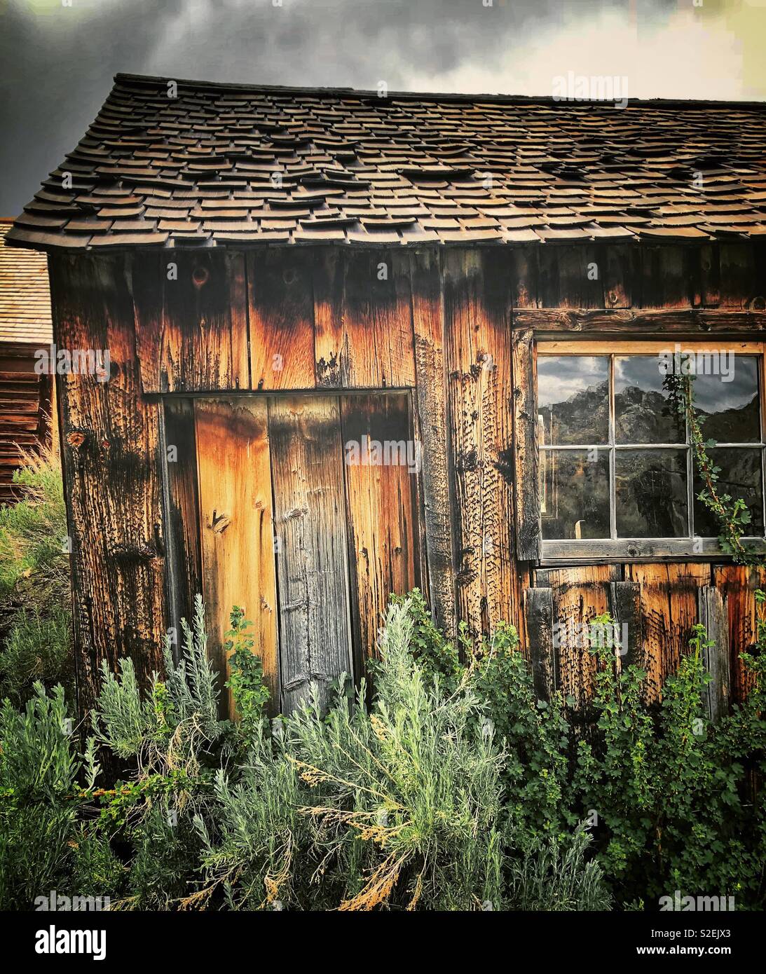 Abandoned shack hi-res stock photography and images - Alamy