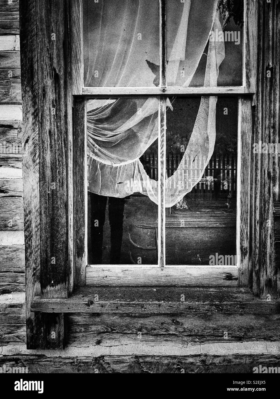 Window with torn curtains Stock Photo - Alamy