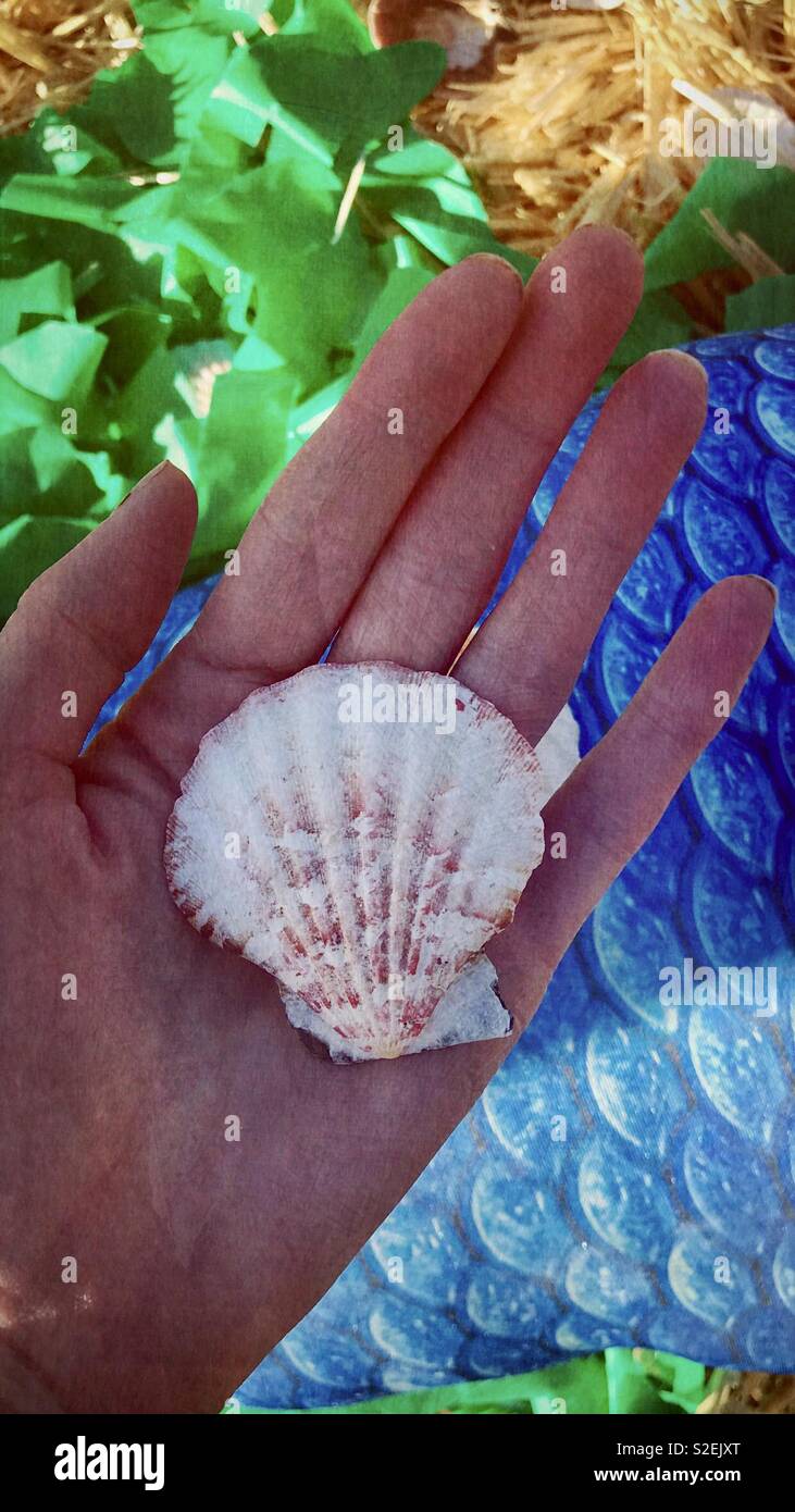 A women holding a seashell outside over a blue mermaids tail Stock ...