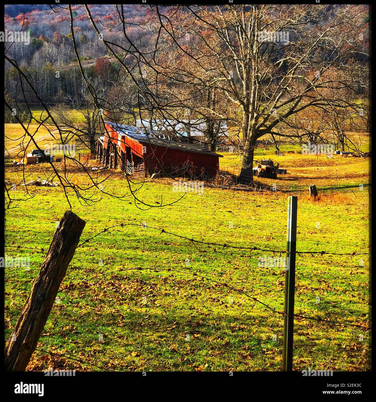 Life on the farm Stock Photo - Alamy