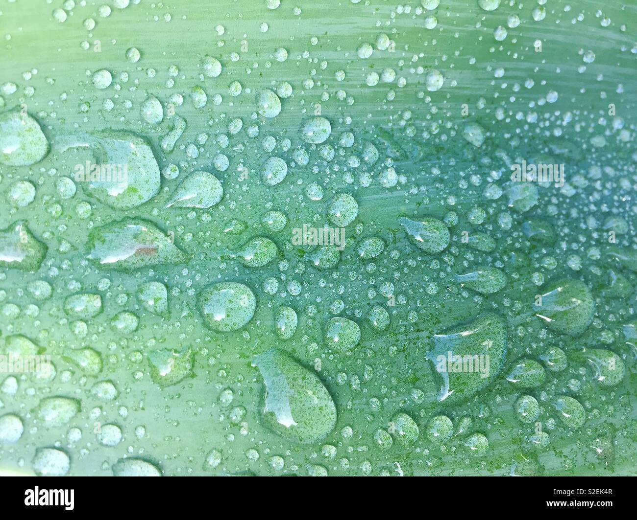 Irregular rain hi-res stock photography and images - Alamy