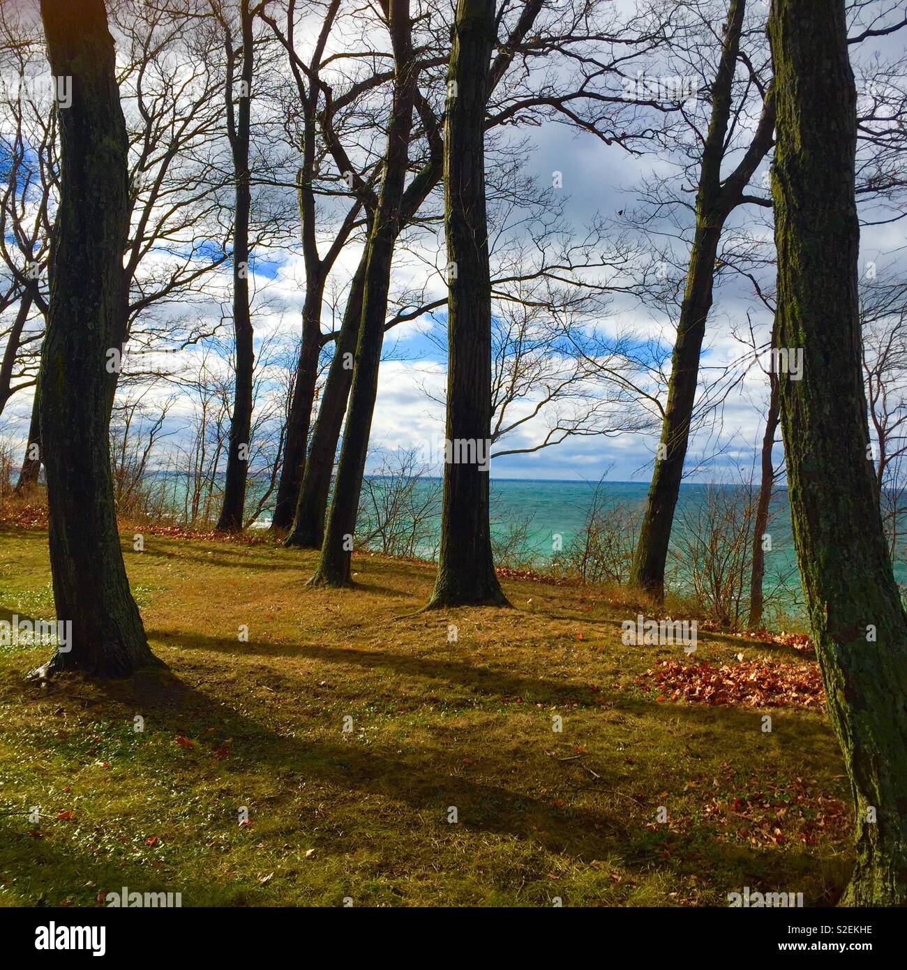 Lake Michigan through forest Stock Photo - Alamy