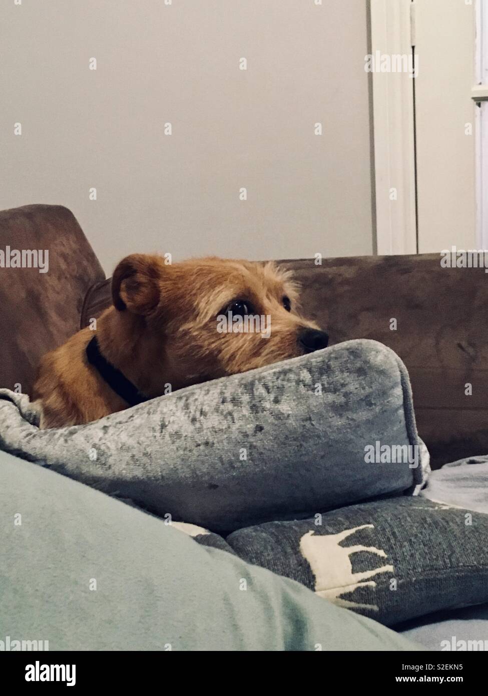 Settee and cushion hi-res stock photography and images - Alamy