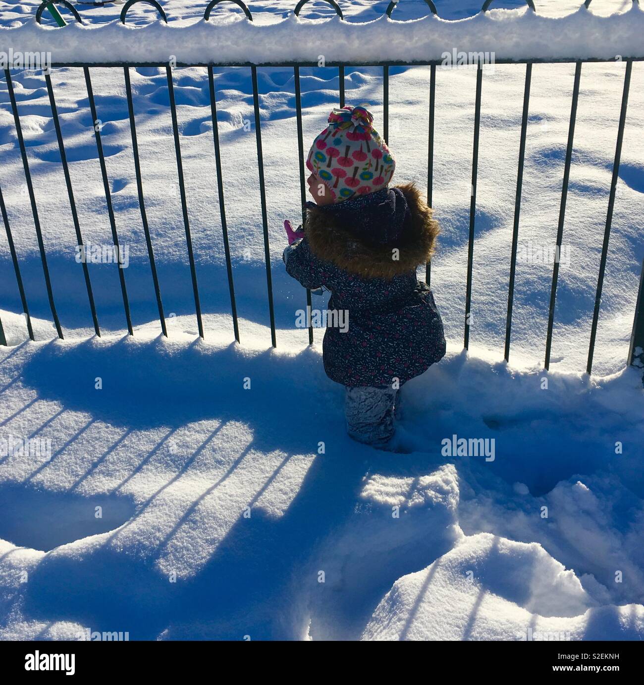 Child wades through the deep snow Stock Photo - Alamy