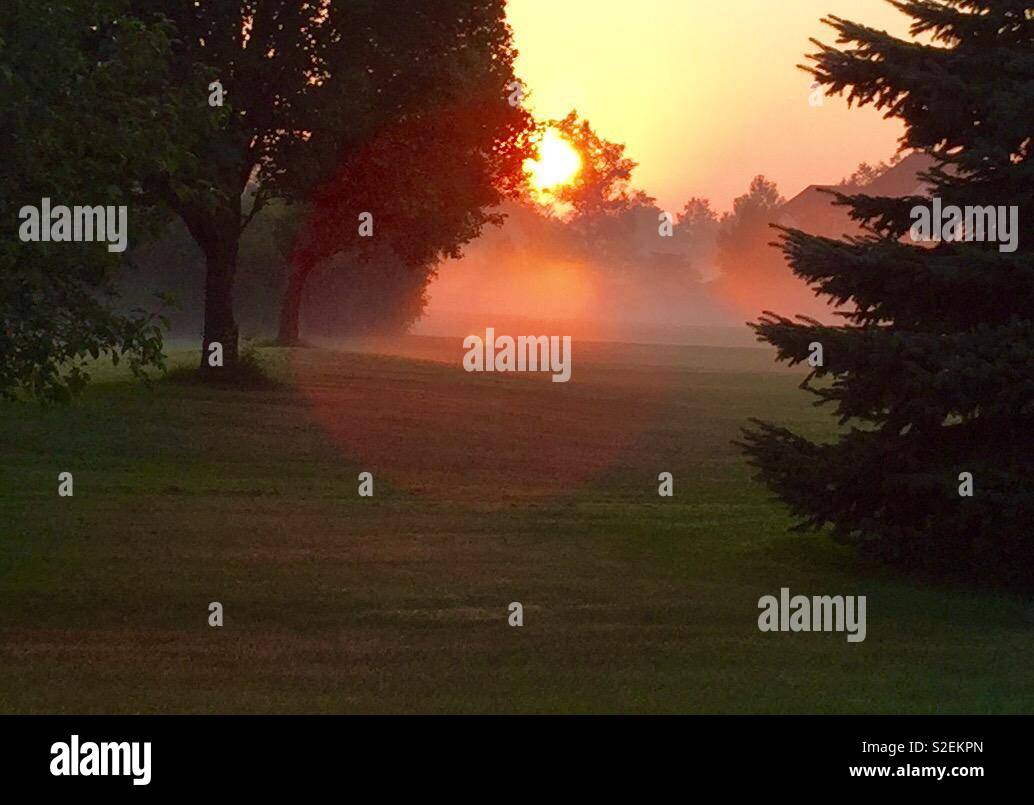 Sunrise through mist Stock Photo - Alamy
