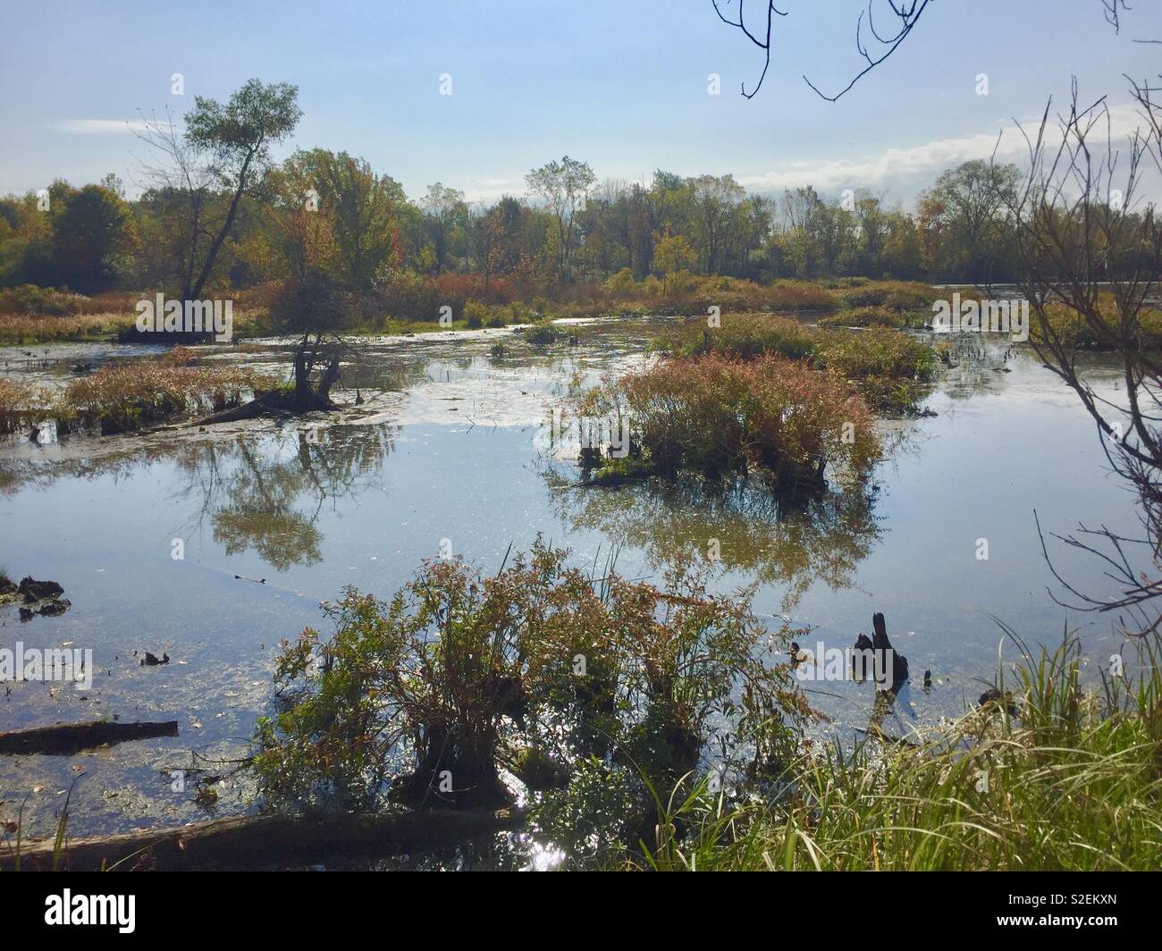 Pond in fall Stock Photo - Alamy