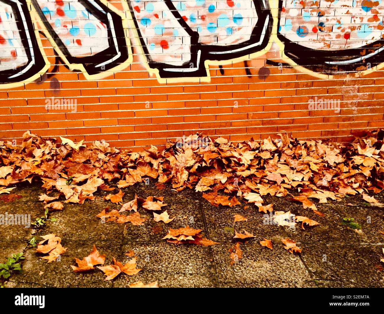Dry cycle hi-res stock photography and images - Alamy