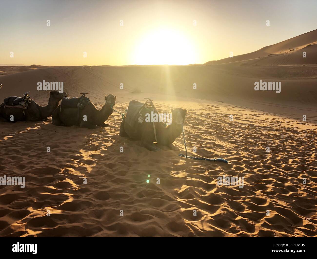 Sahara sunrise hi-res stock photography and images - Alamy