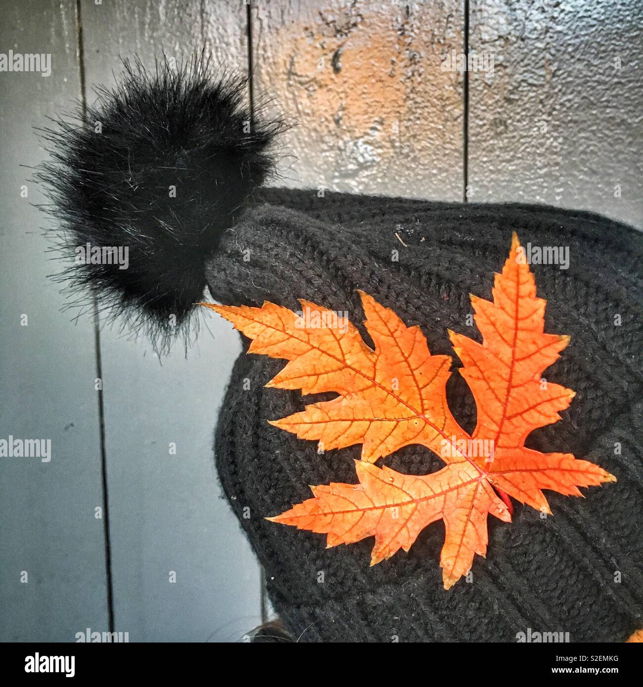 Leaf hat hi-res stock photography and images - Alamy