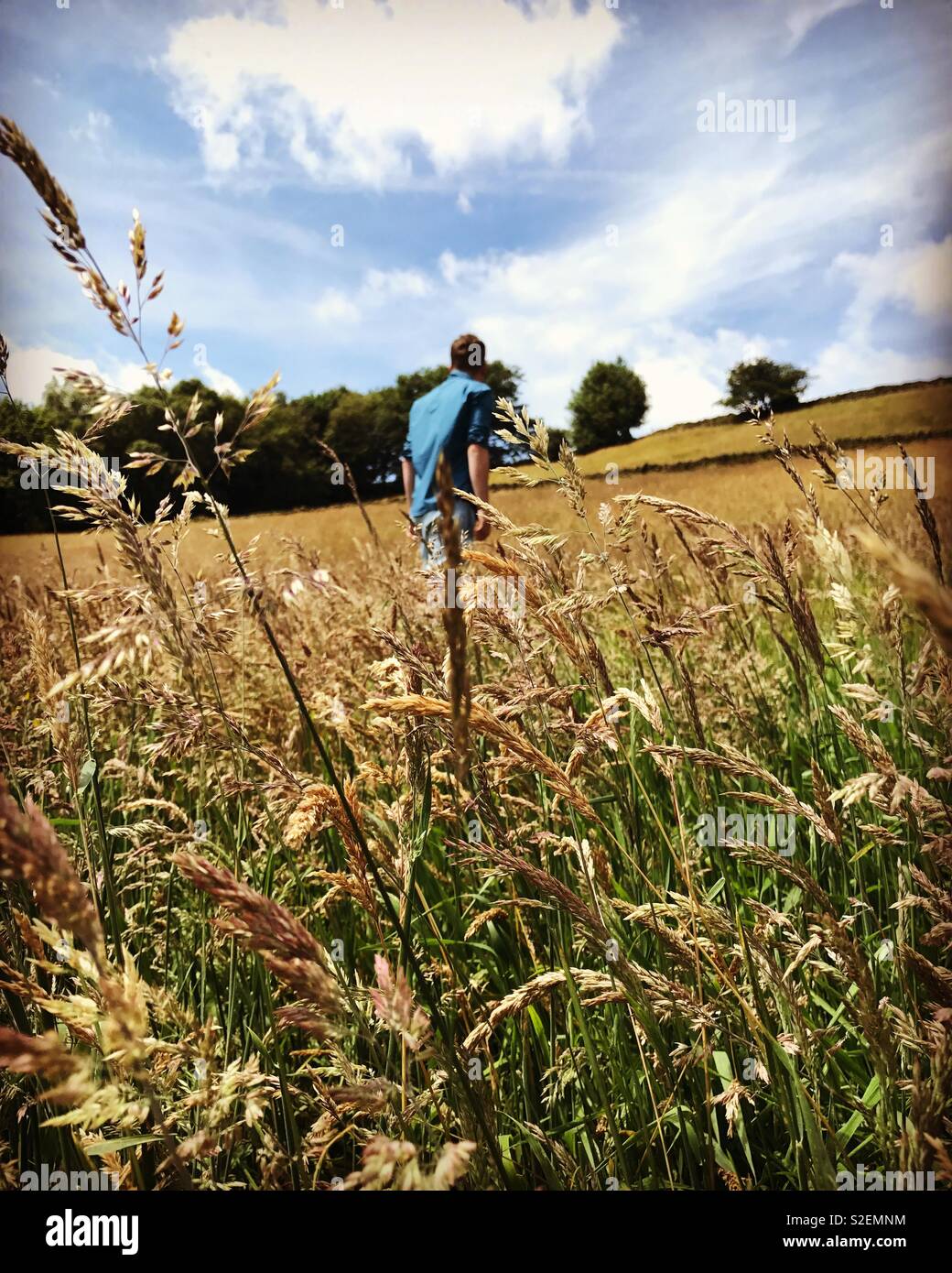 Lazy hazy days of summer hi-res stock photography and images - Alamy