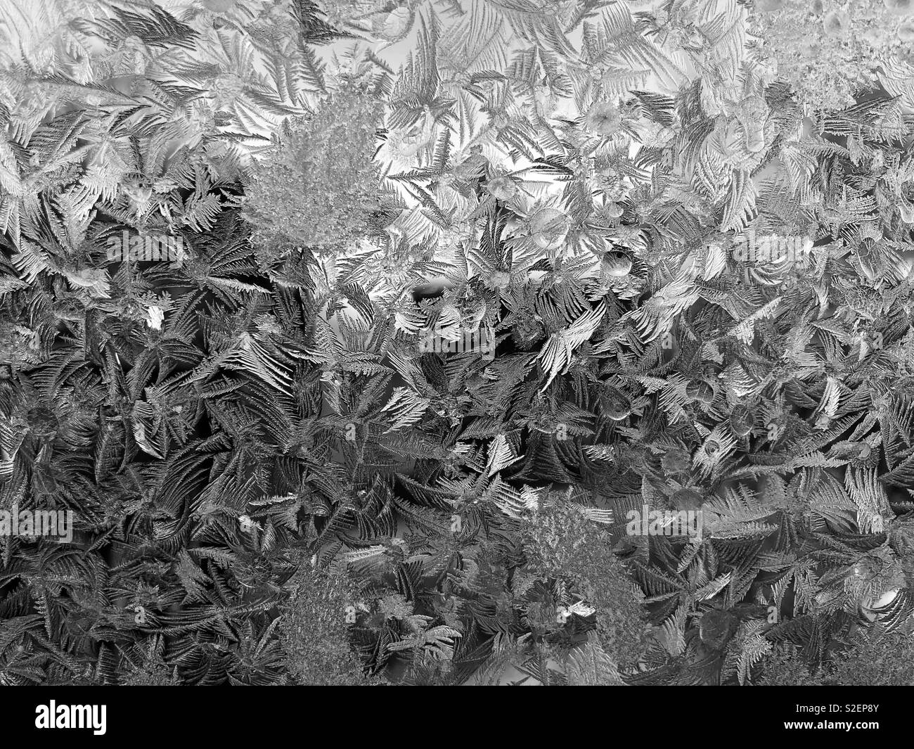 Nature shapes hi-res stock photography and images - Alamy