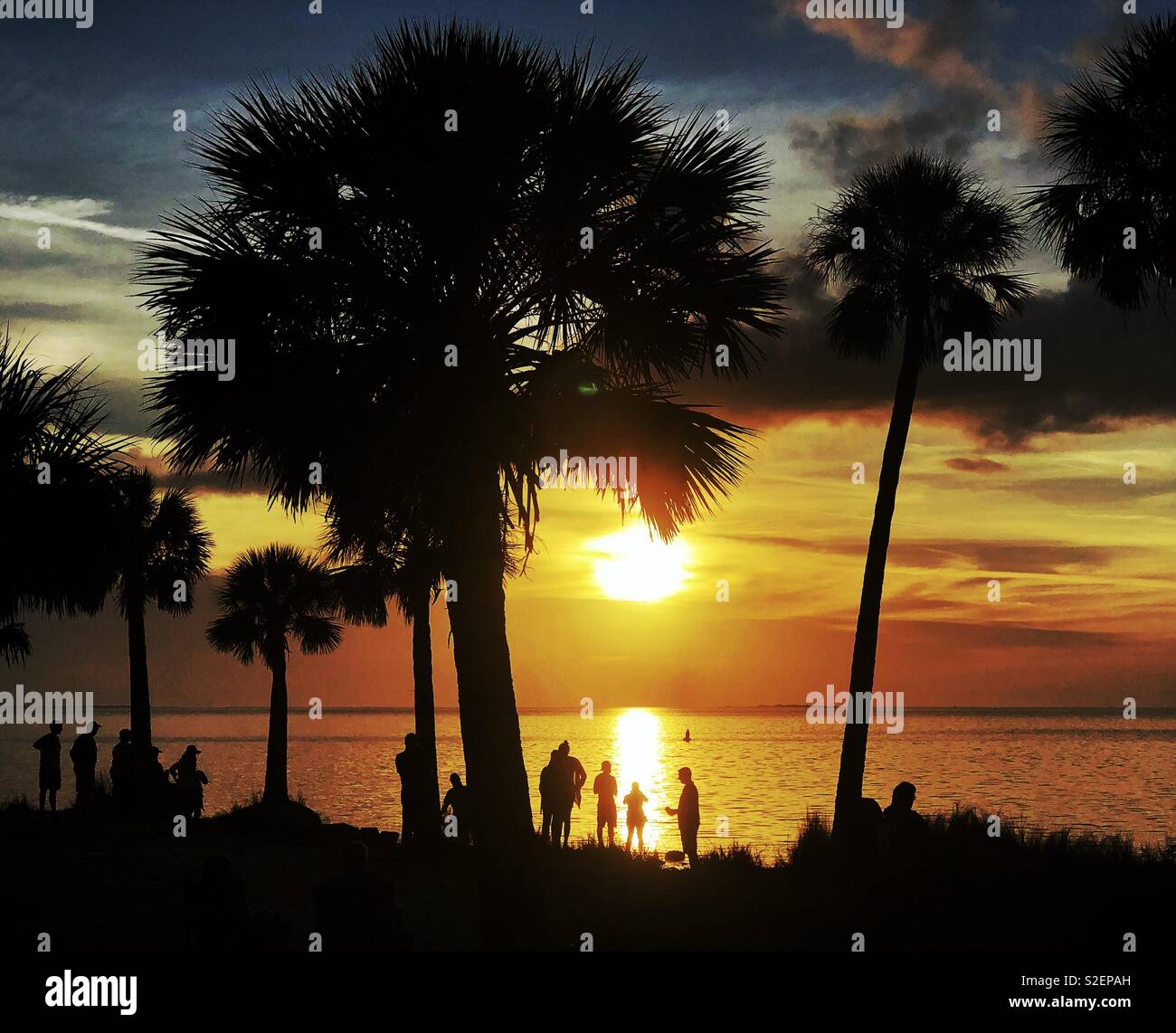 Enjoying the beach hi-res stock photography and images - Alamy