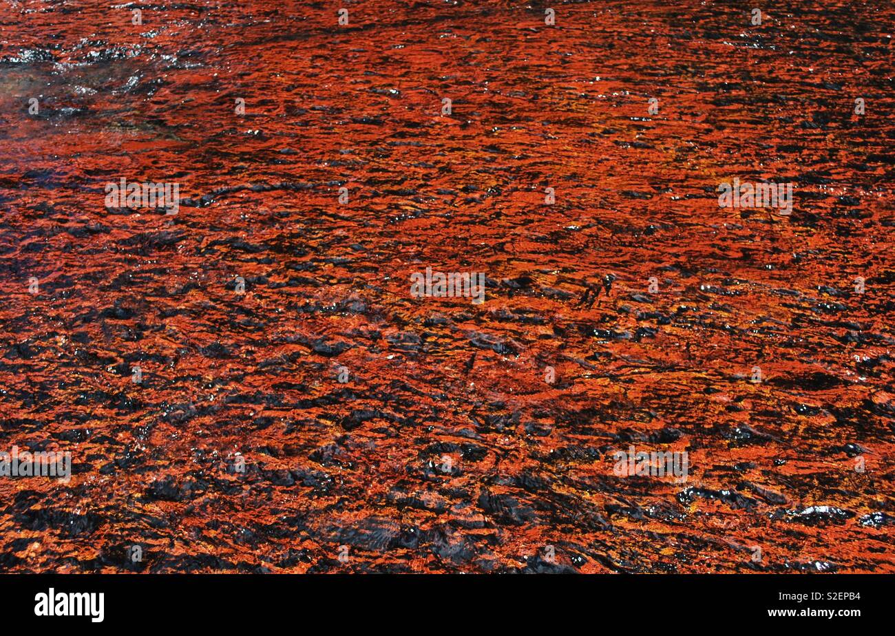 Red River original Stock Photo - Alamy