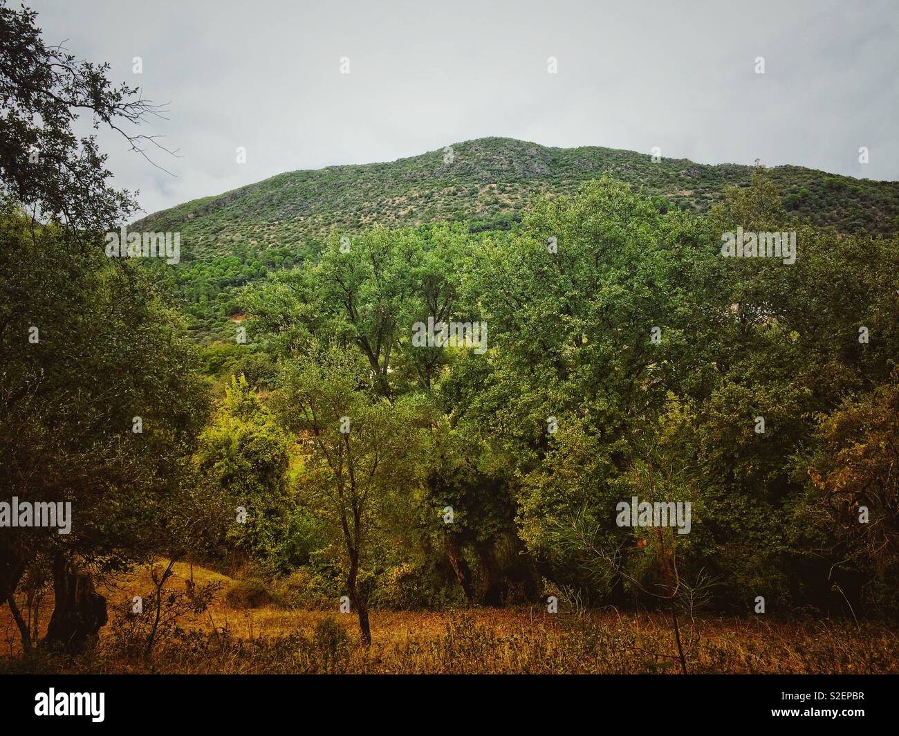 Andalucia nature hi-res stock photography and images - Alamy