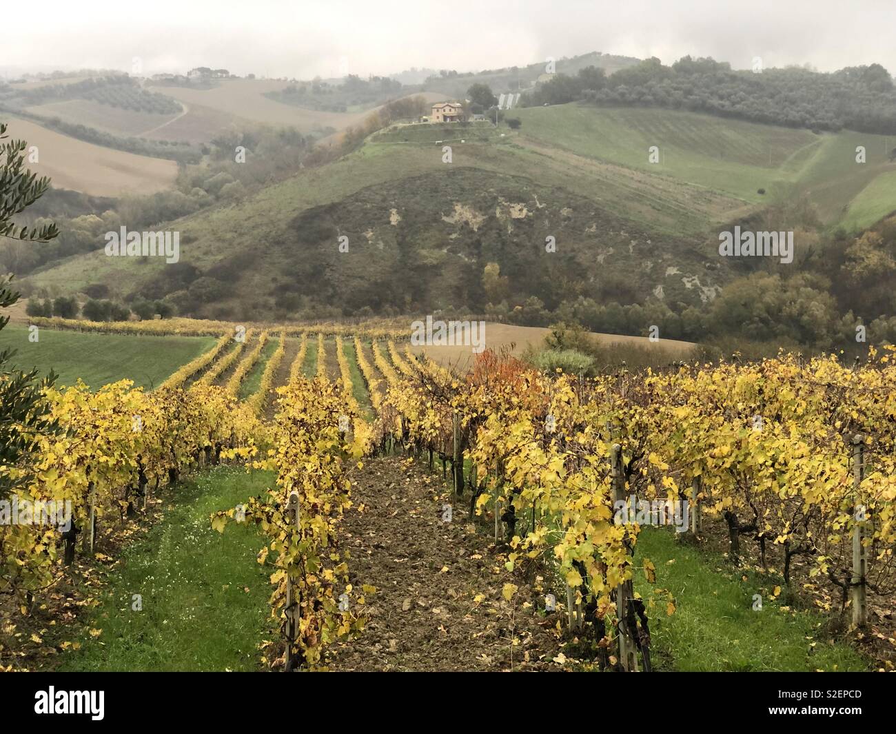 Marche region landscape hi-res stock photography and images - Alamy