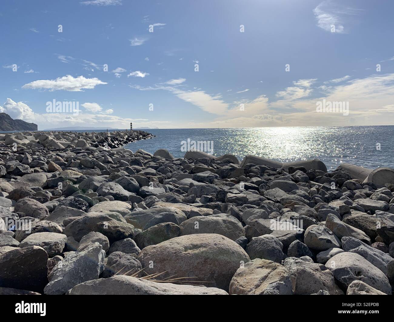 Sea shaw hi-res stock photography and images - Alamy