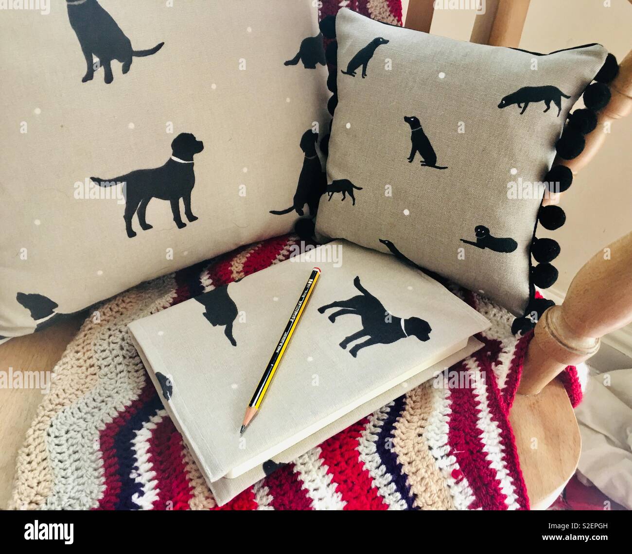 Black Labrador heaven Stock Photo - Alamy