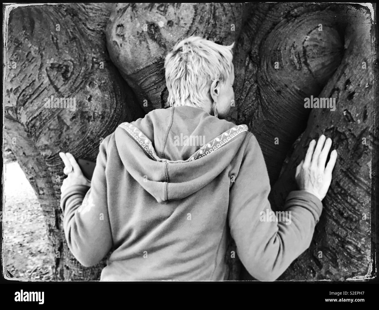 Tree in love Stock Photo - Alamy