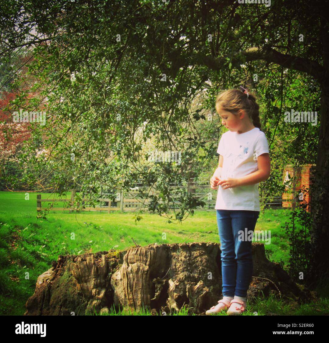 Child beneath tree Stock Photo - Alamy