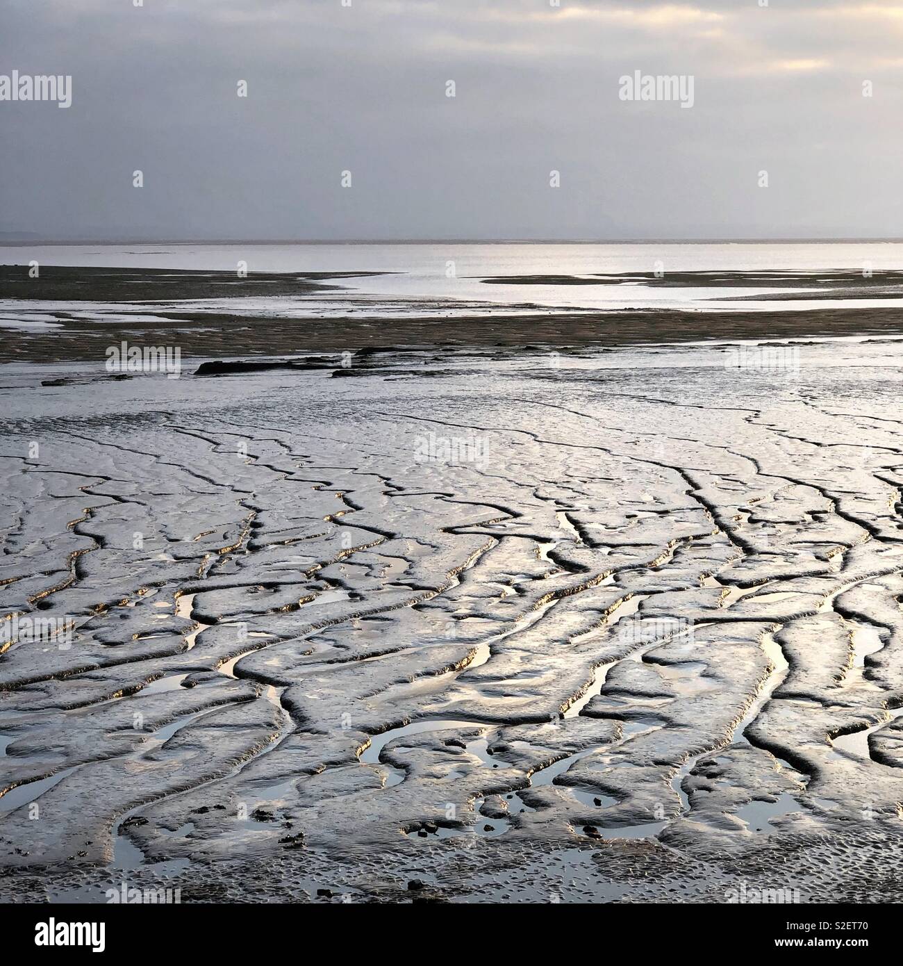 River Severn at low tide Stock Photo - Alamy