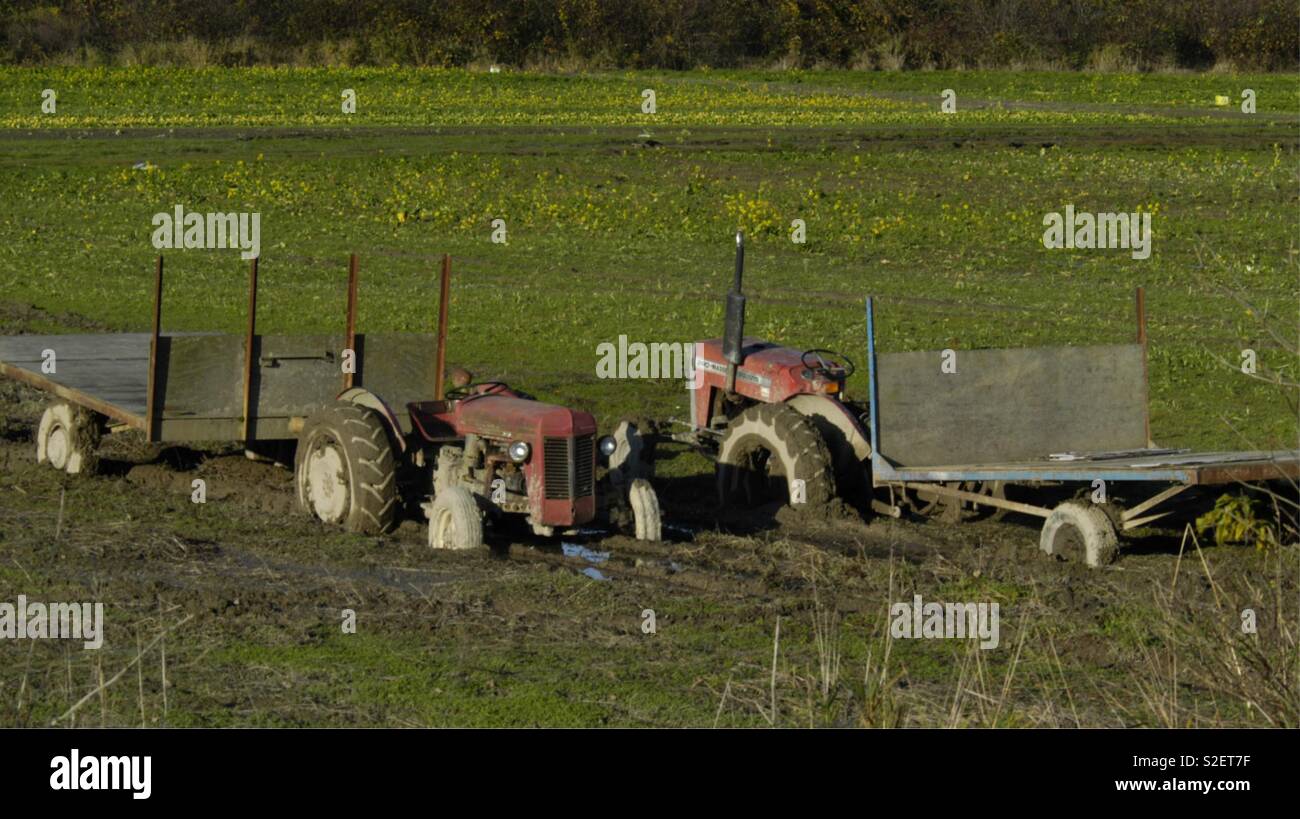 Stuck Mud Vehicle High Resolution Stock Photography and Images - Alamy