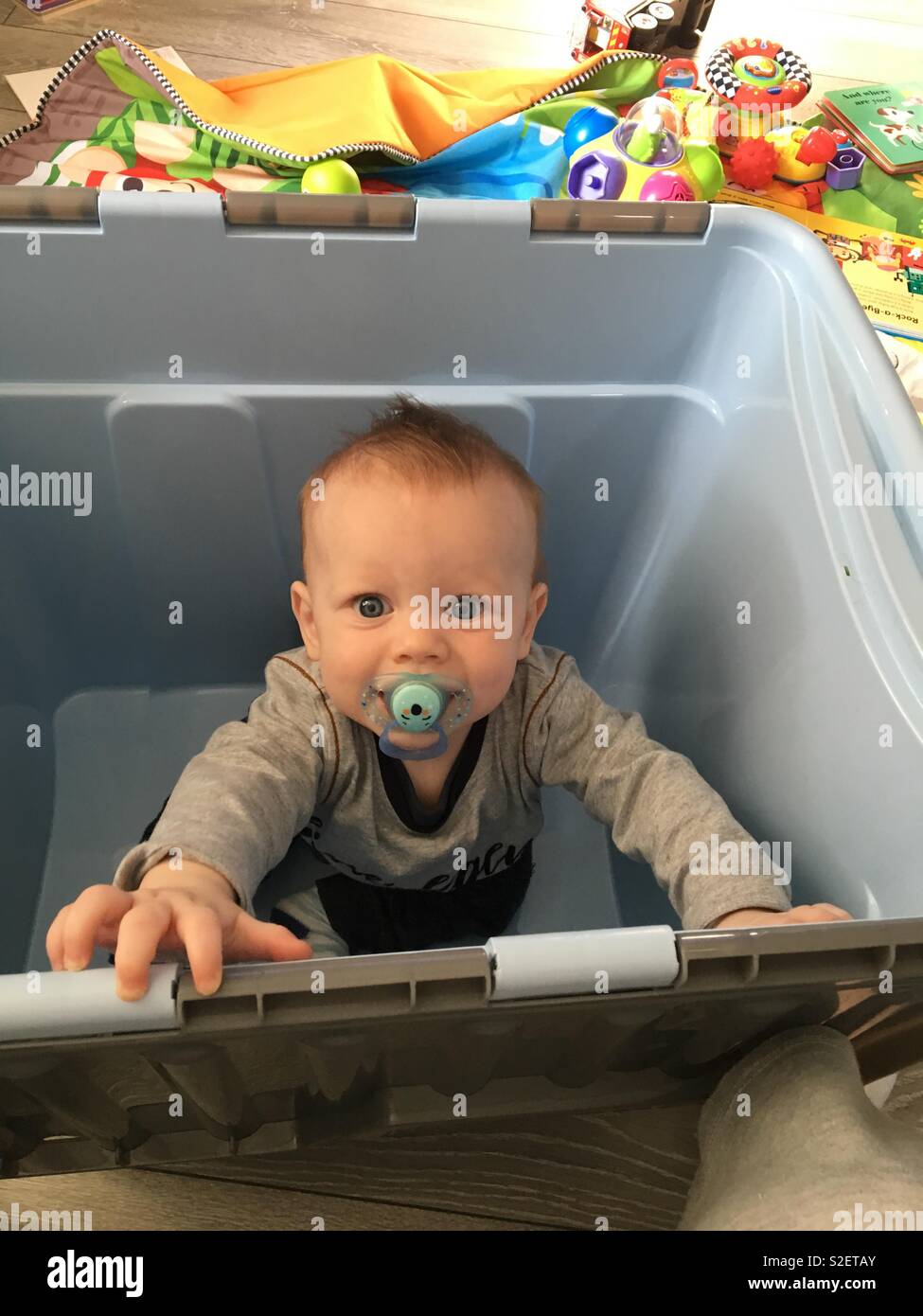 Monkey box hi-res stock photography and images - Alamy