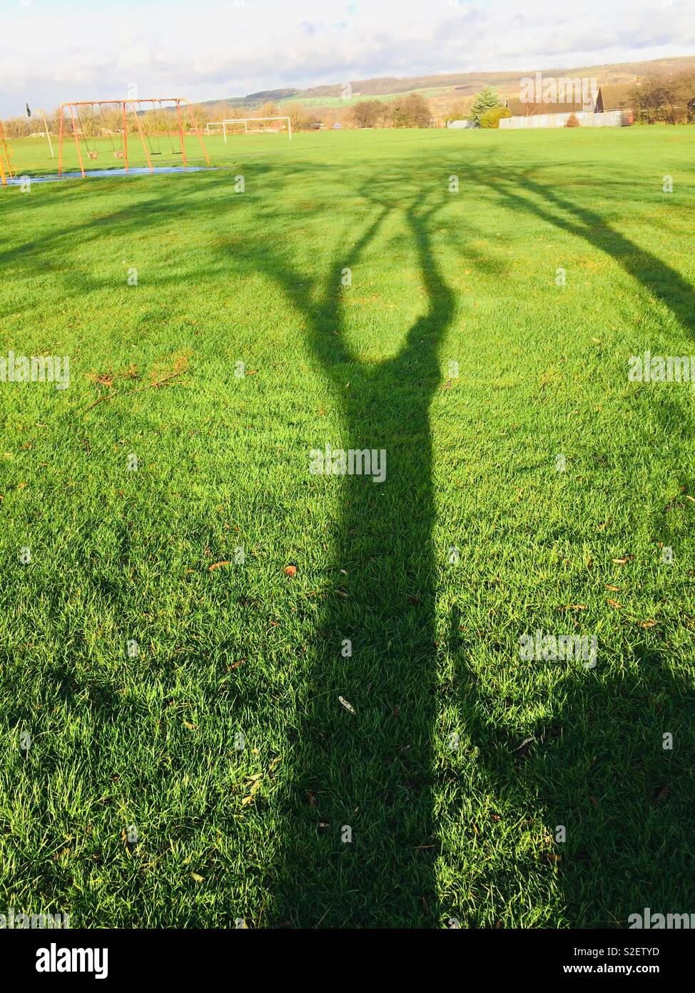 Shadow of a tree Stock Photo - Alamy