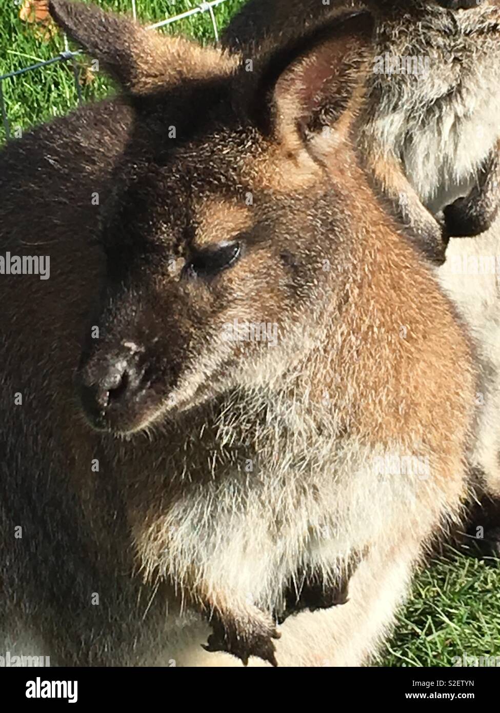 Unamused hi-res stock photography and images - Alamy