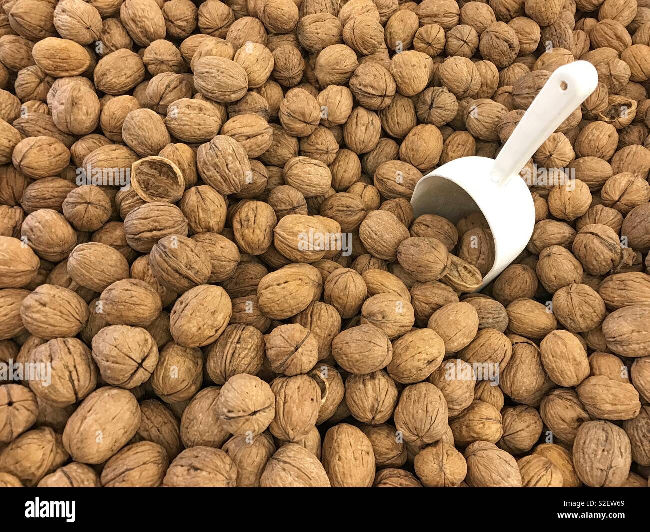 Bulk chestnuts and a scoop are on display in a supermarket bin Stock ...