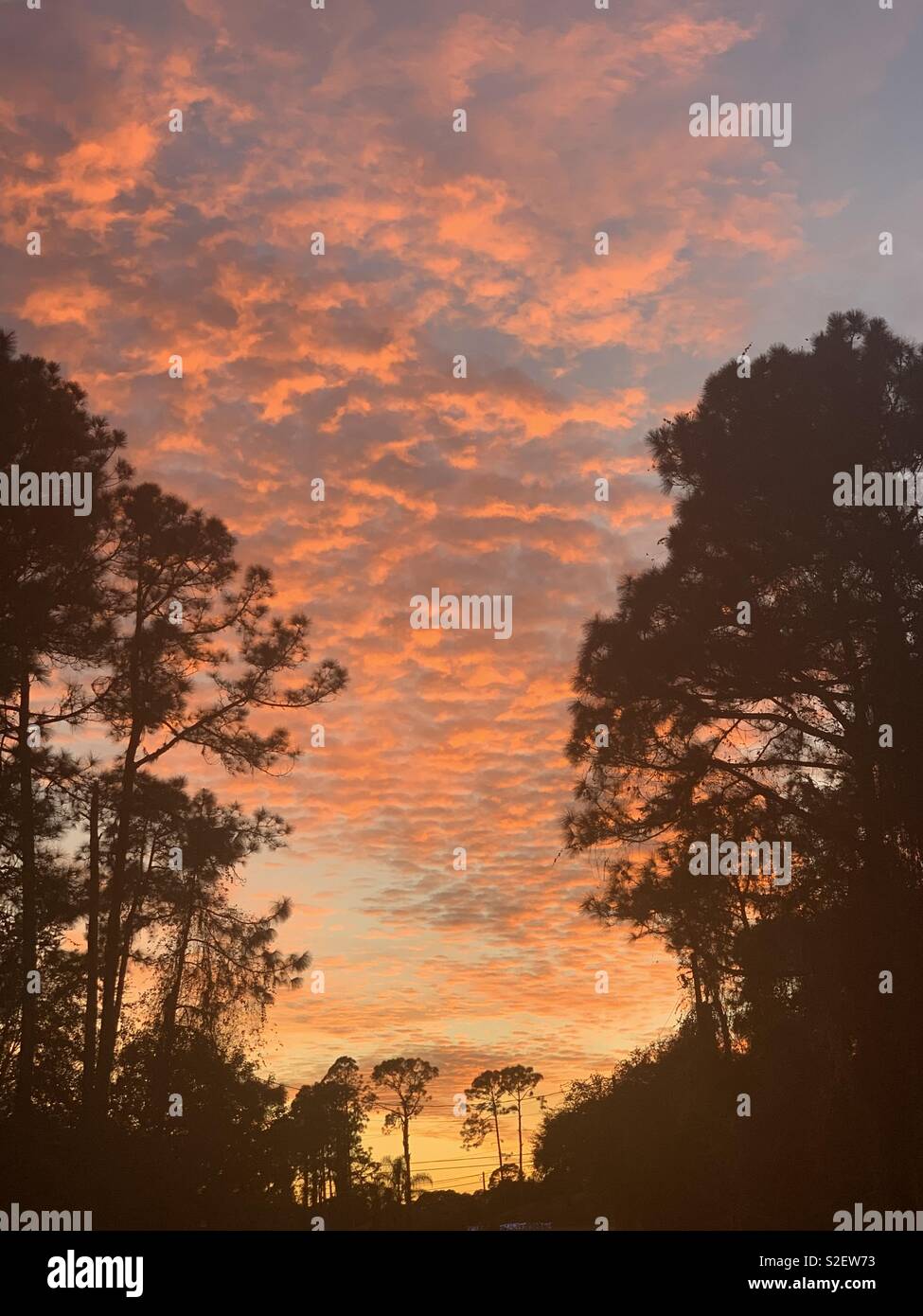 Florida Dreamy Sunset Stock Photo - Alamy