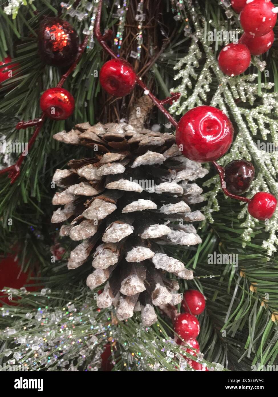 Pin cone hi-res stock photography and images - Alamy