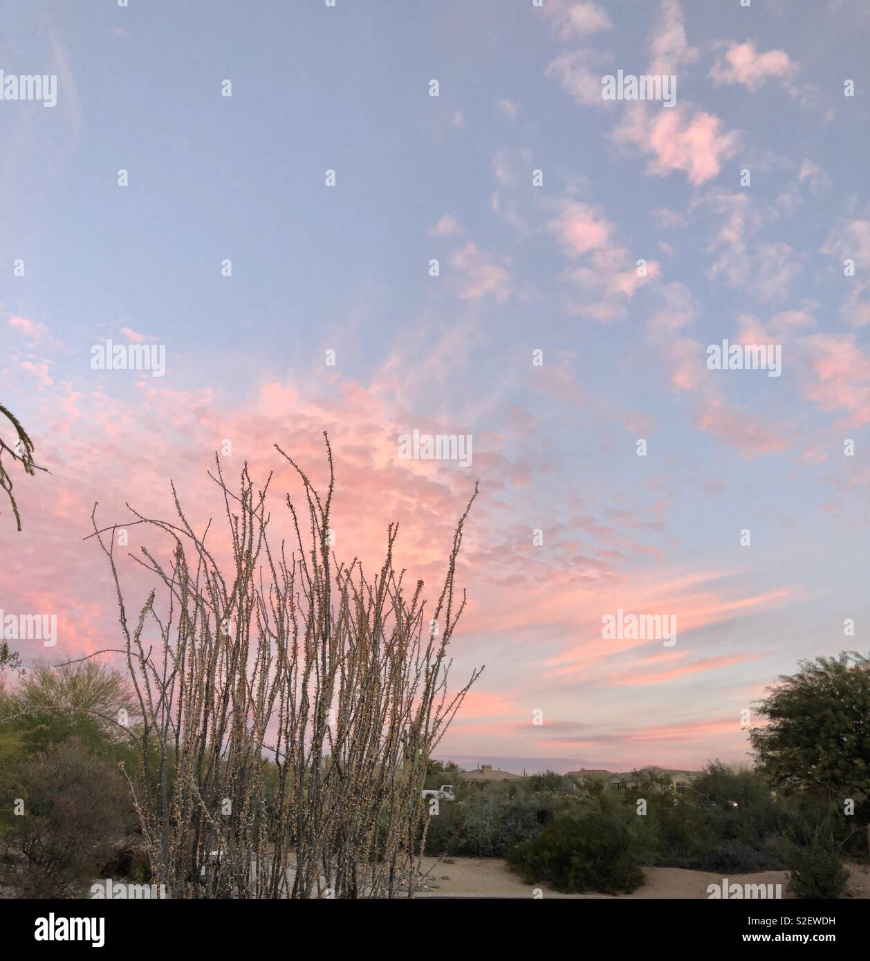 Sunrise in Arizona Stock Photo - Alamy