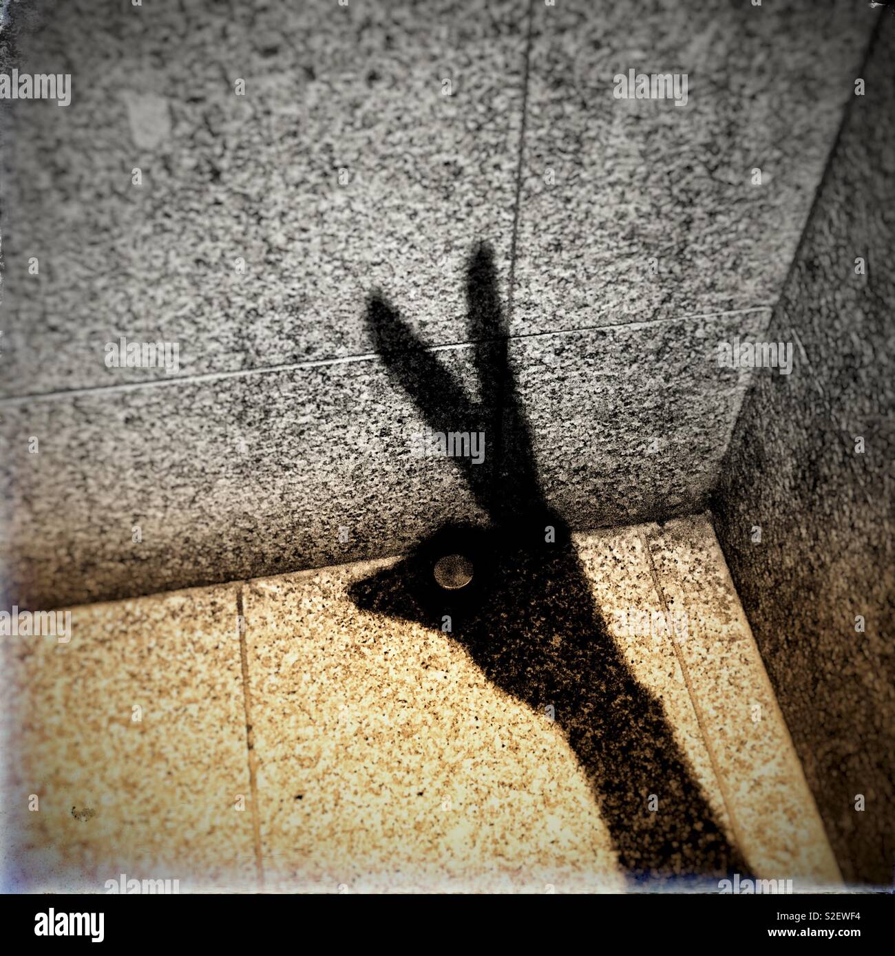Rabbit silhouette hand shape shadow Stock Photo - Alamy