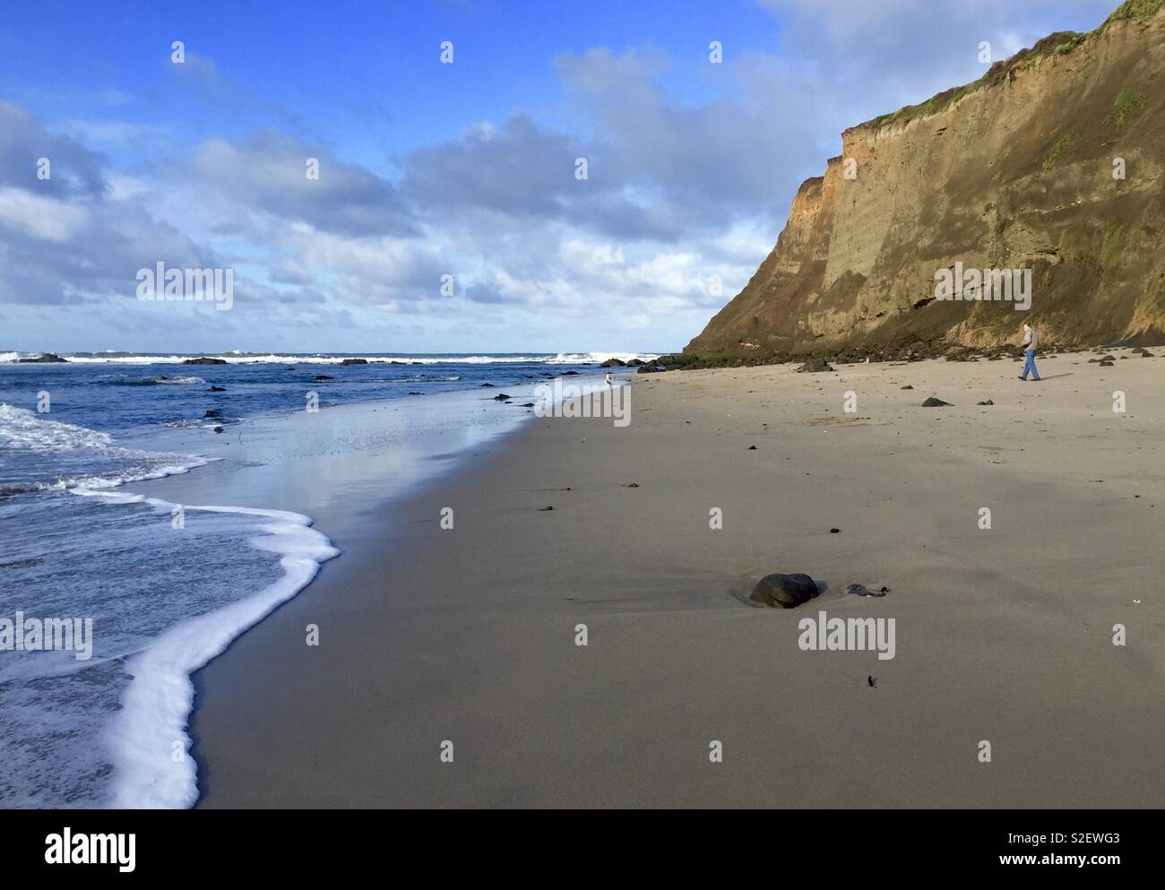 Pacific coast beach and cliff Stock Photo - Alamy