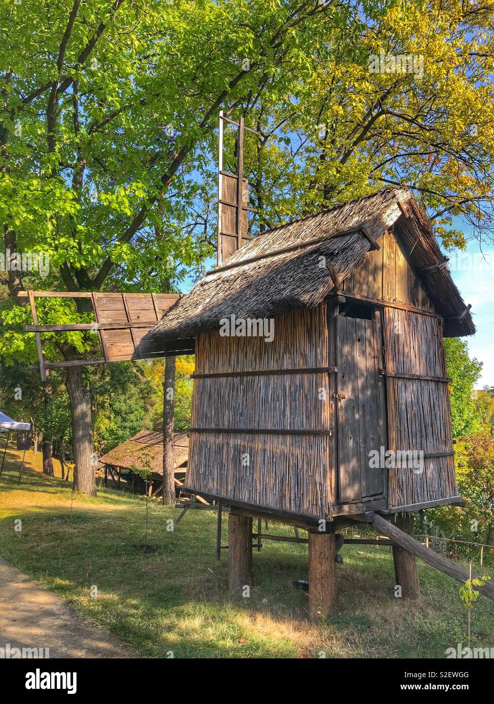 Old wooden windmill trees hi-res stock photography and images - Alamy