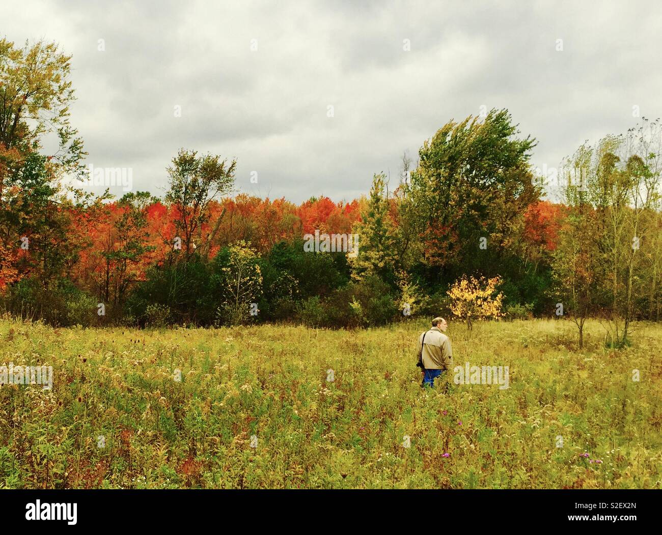 Fall colors and field Stock Photo - Alamy