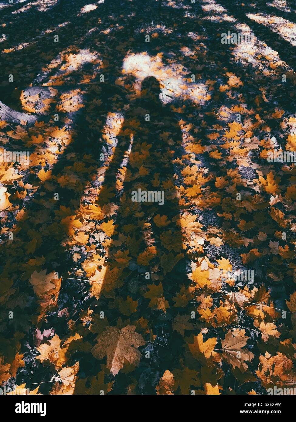 Moscow russia on october smartphone stock photos and images - Alamy