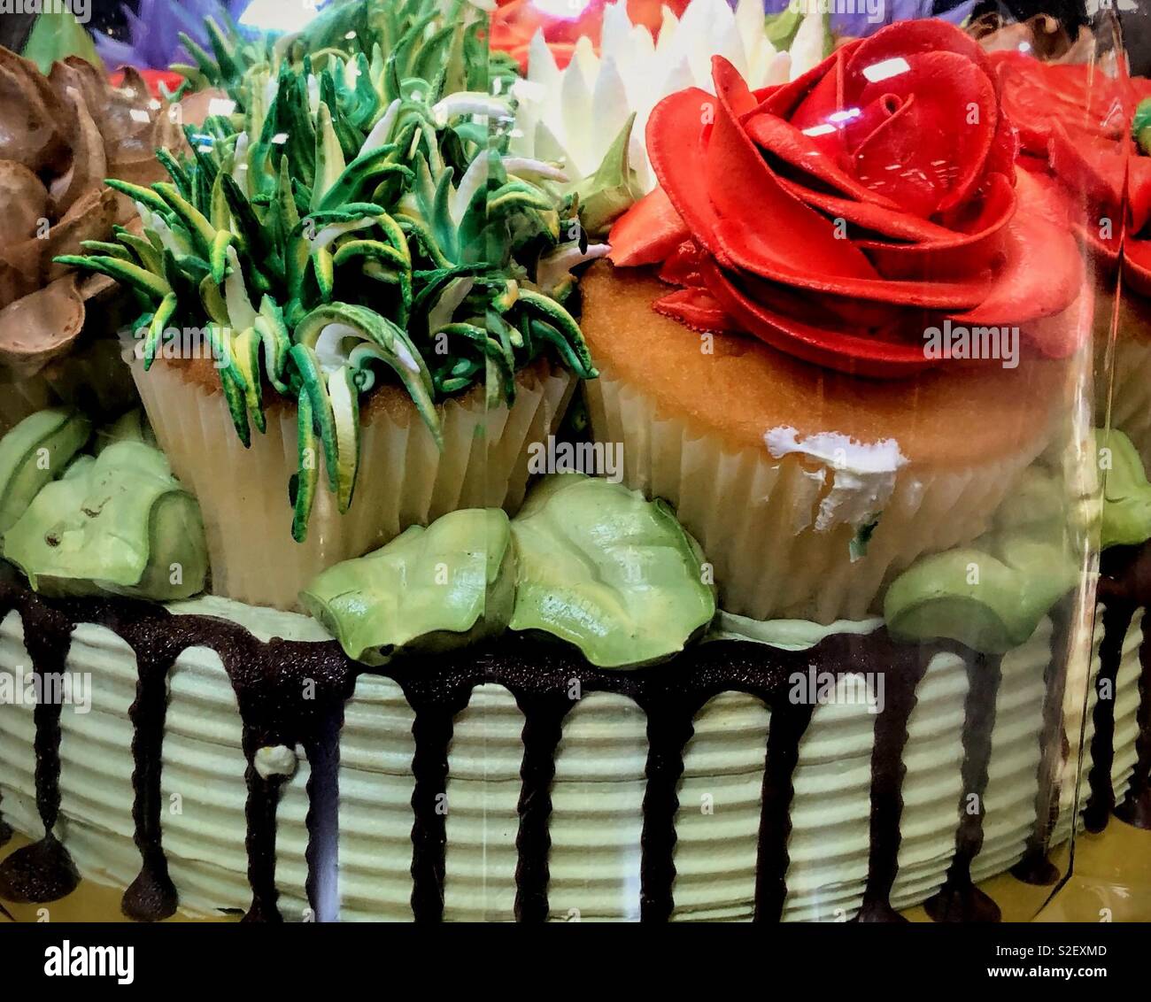 Licious hi-res stock photography and images - Alamy