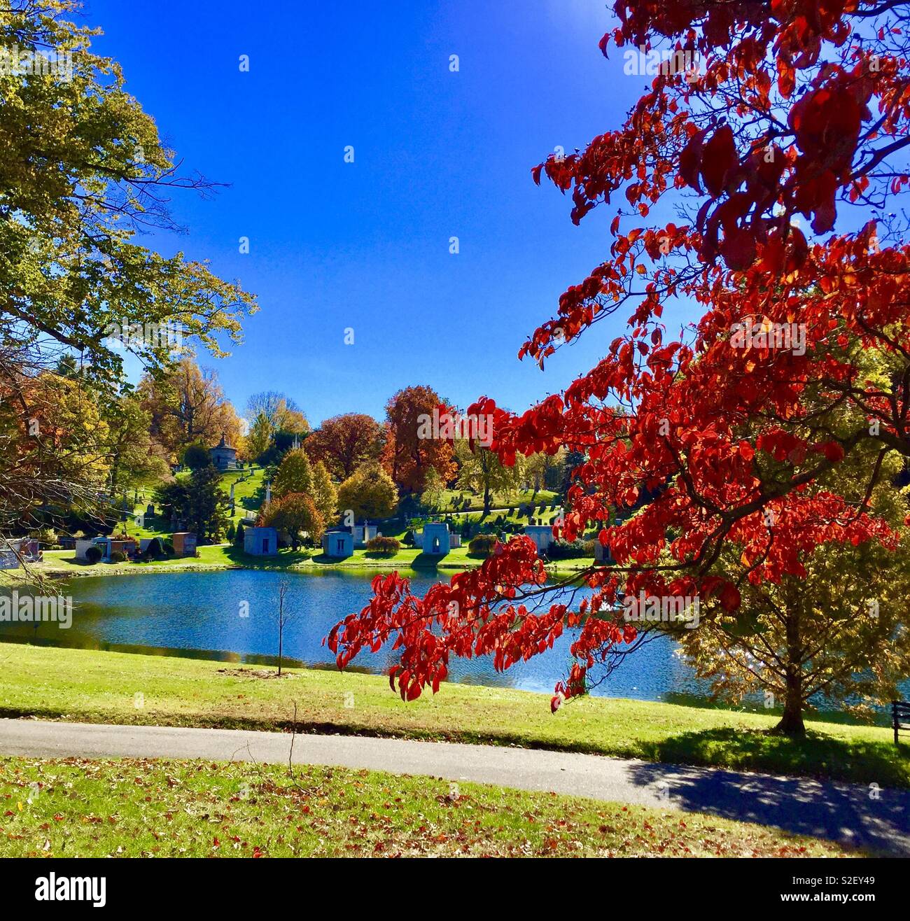 Pond and maple hi-res stock photography and images - Alamy