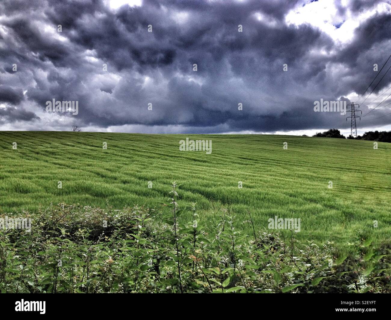 Loud field hi-res stock photography and images - Alamy