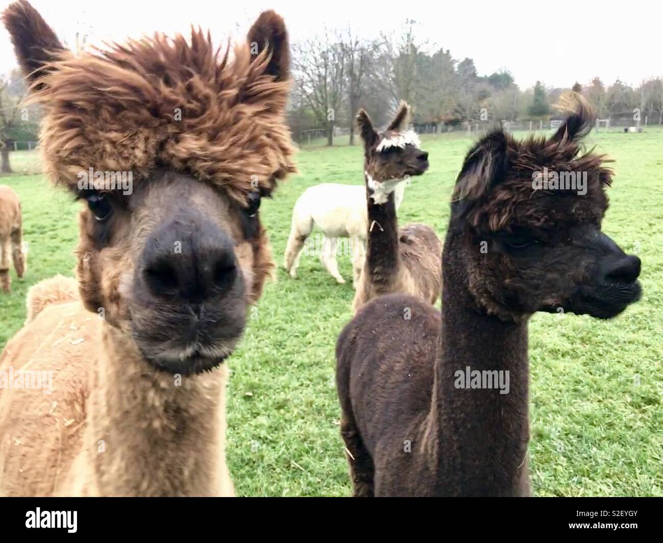 Dinton hi-res stock photography and images - Alamy