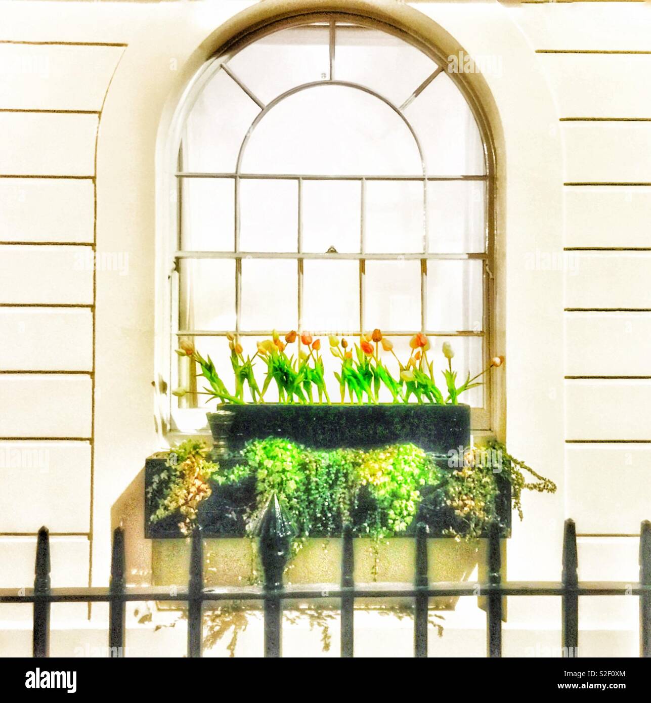 A window in Knightsbridge, London Stock Photo - Alamy