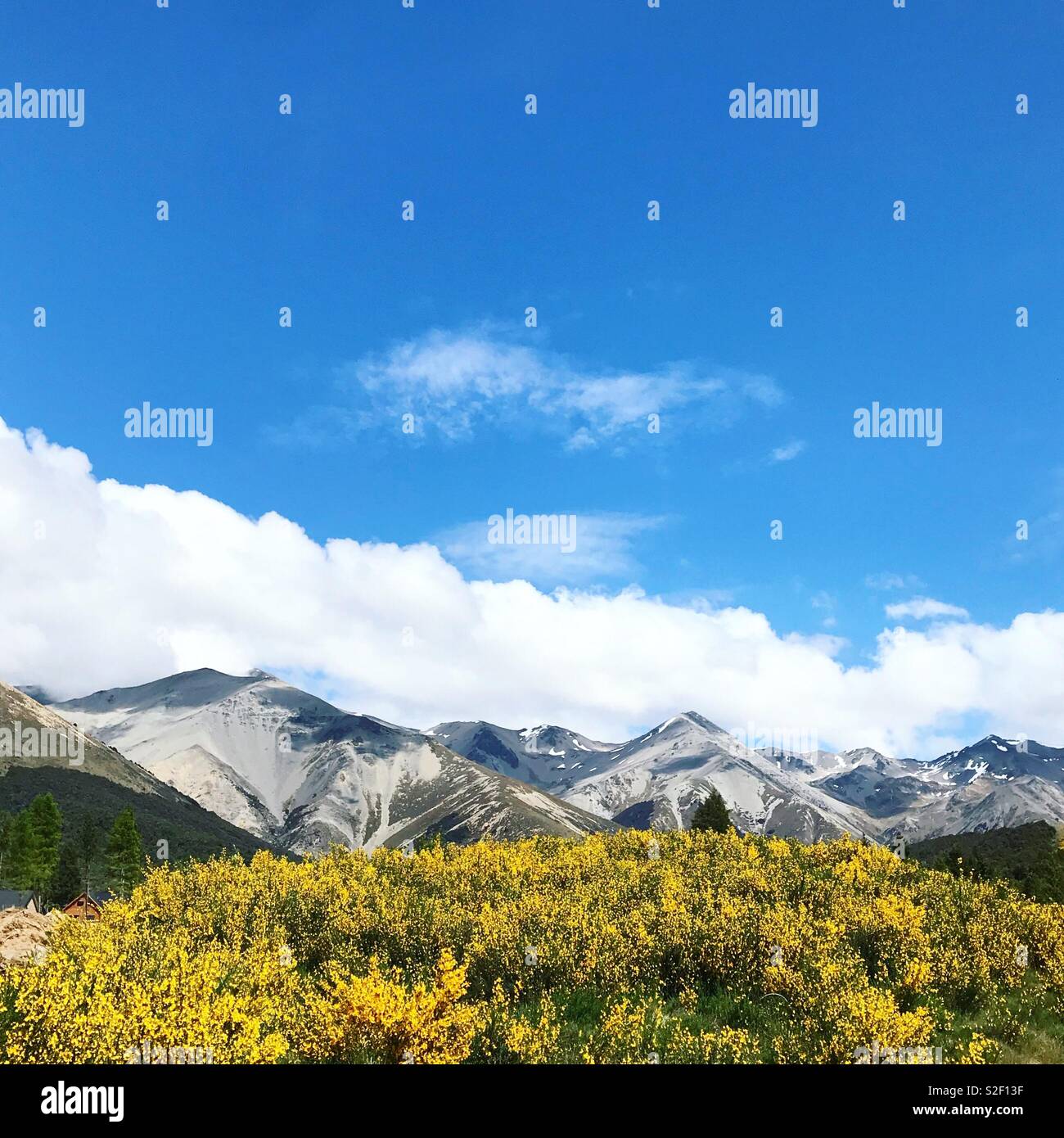 The colors of nature hi-res stock photography and images - Alamy