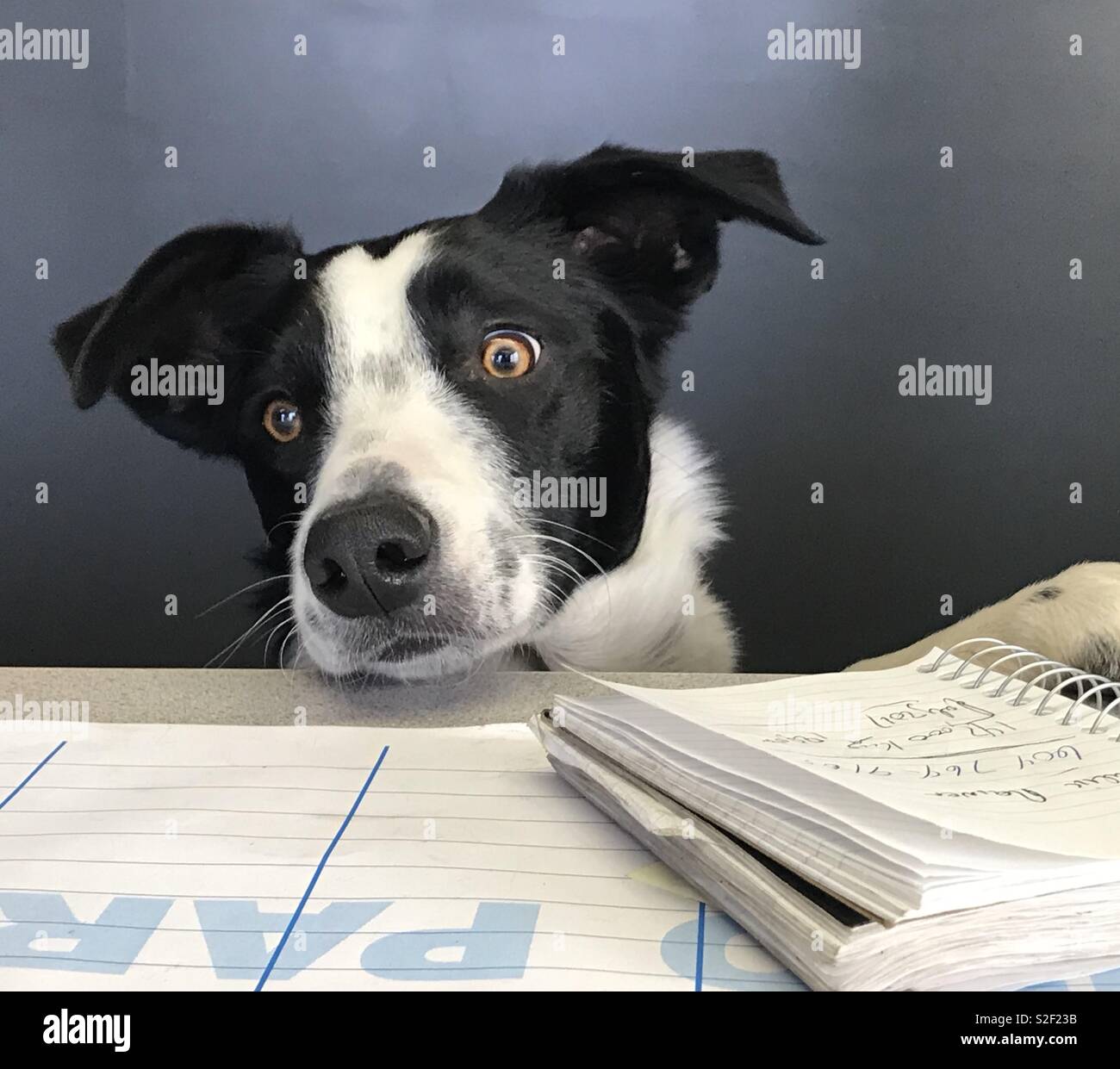 Helpful service hi-res stock photography and images - Alamy