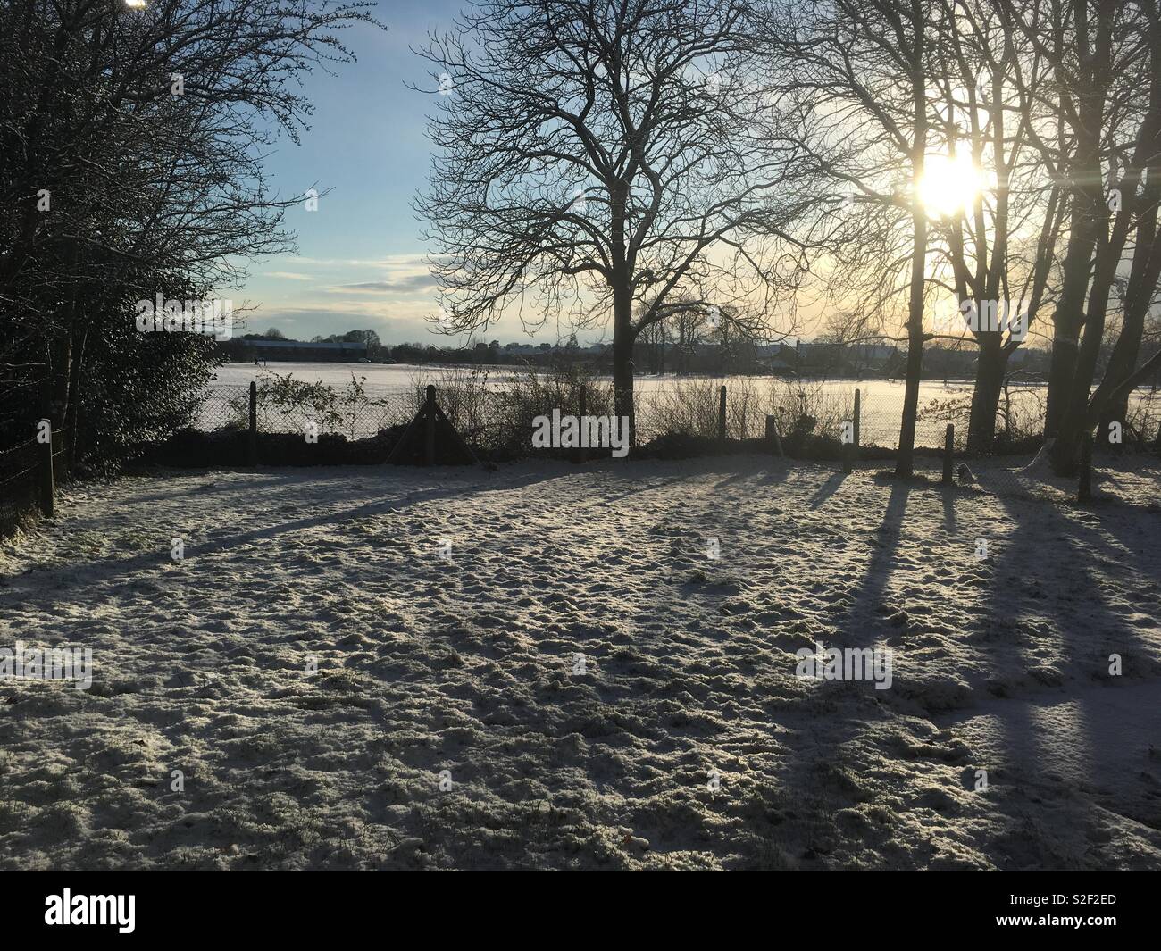 Sunlight through trees and snow hi-res stock photography and images - Alamy