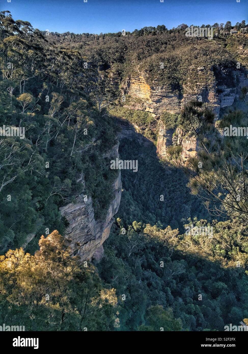 The sandstone cliffs of the Blue Mountains National Park at Leura, NSW ...