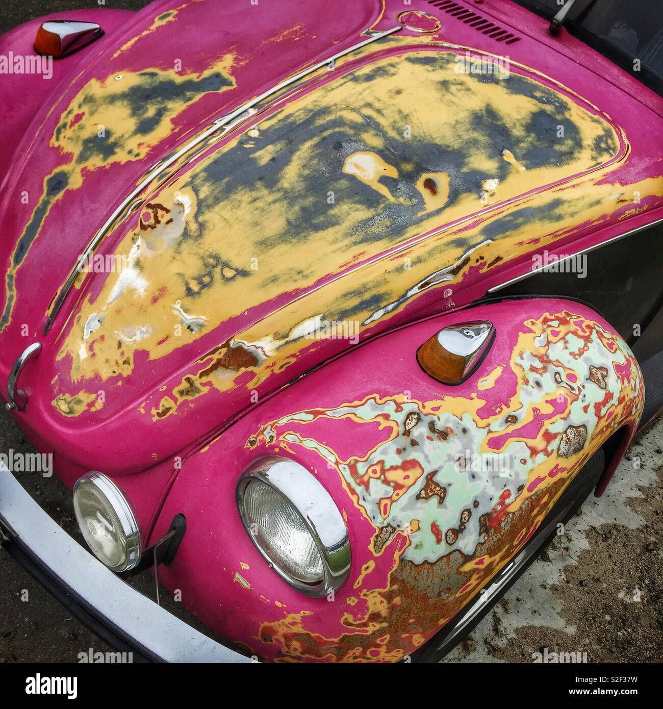 Accidental art: the history of a VW Beetle's paint job revealed Stock ...