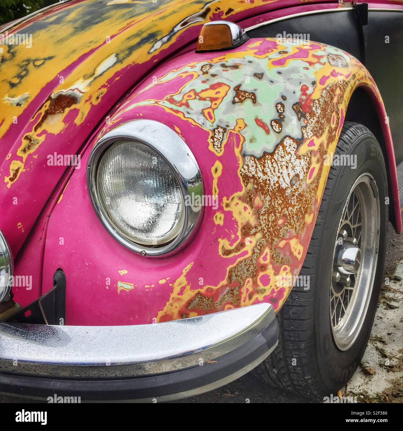Accidental art: the history of a VW Beetle's paint job revealed Stock ...