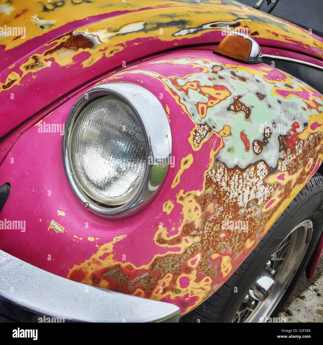 Accidental art: the history of a VW Beetle's paint job revealed Stock ...