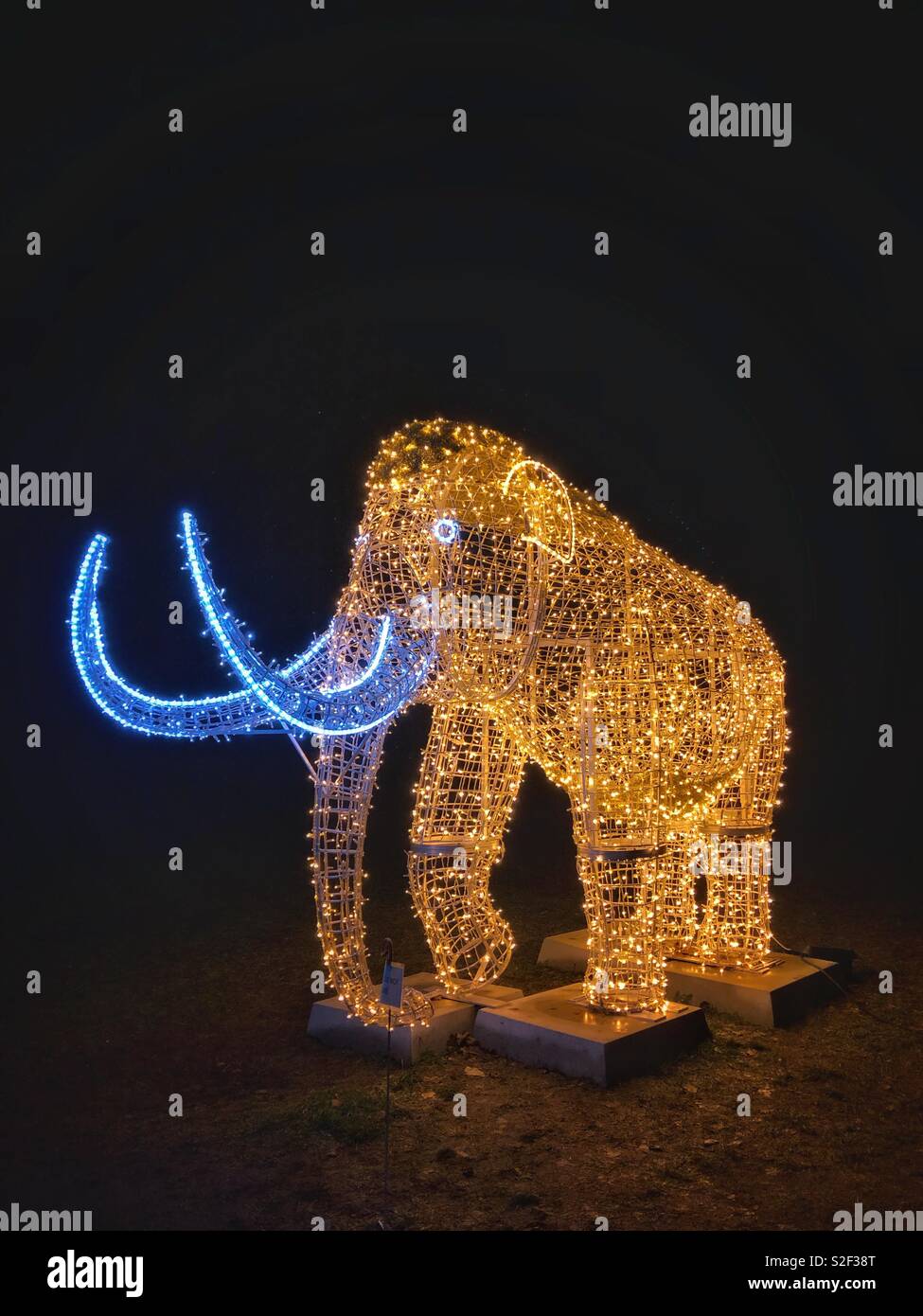 Woolly mammoth light installation Stock Photo - Alamy